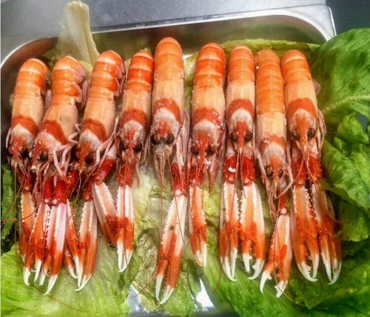 La Barra de Inchausti